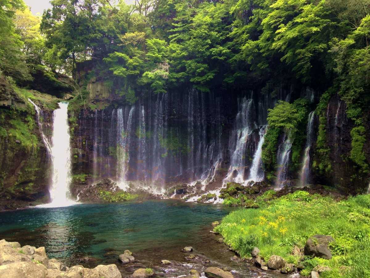 Shiraito Falls:A Natural Monument! A Waterfall the Spring of Mt.Fuji ...