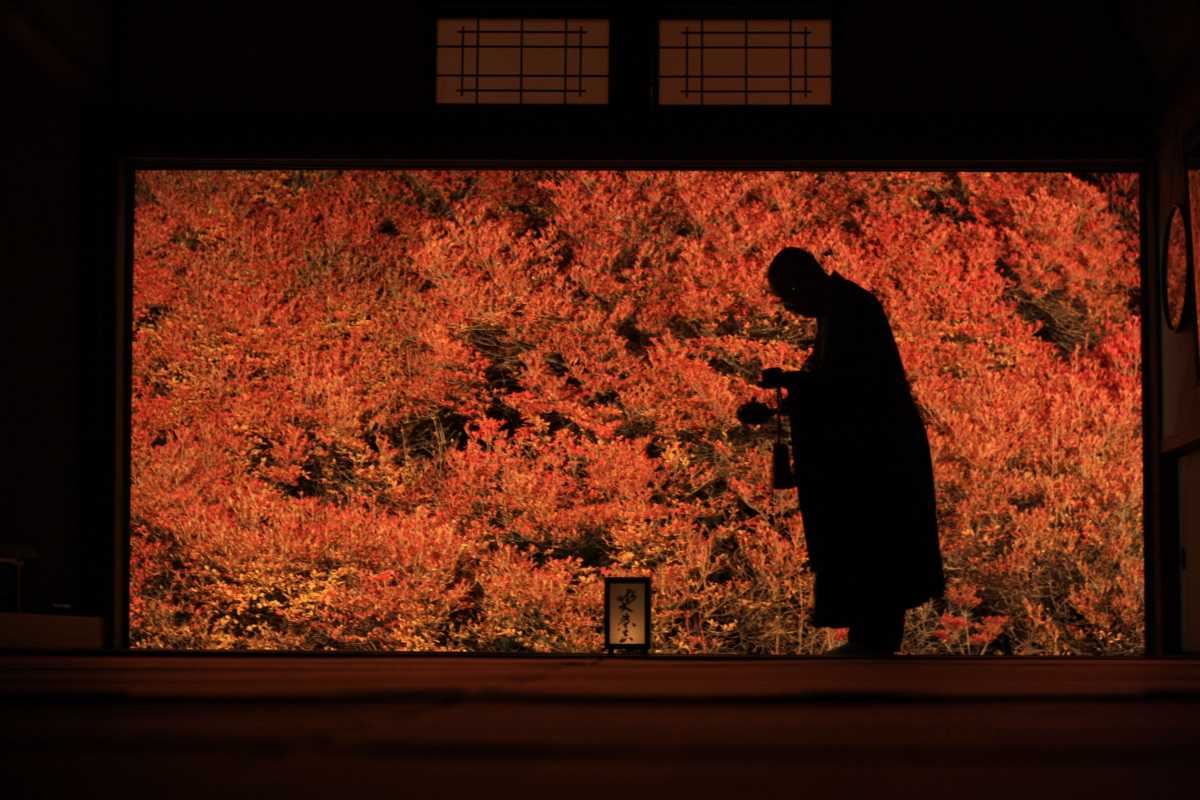 Ankoku-ji Temple Review | Bursting Into Flames! Lighted Up Red Japanese ...