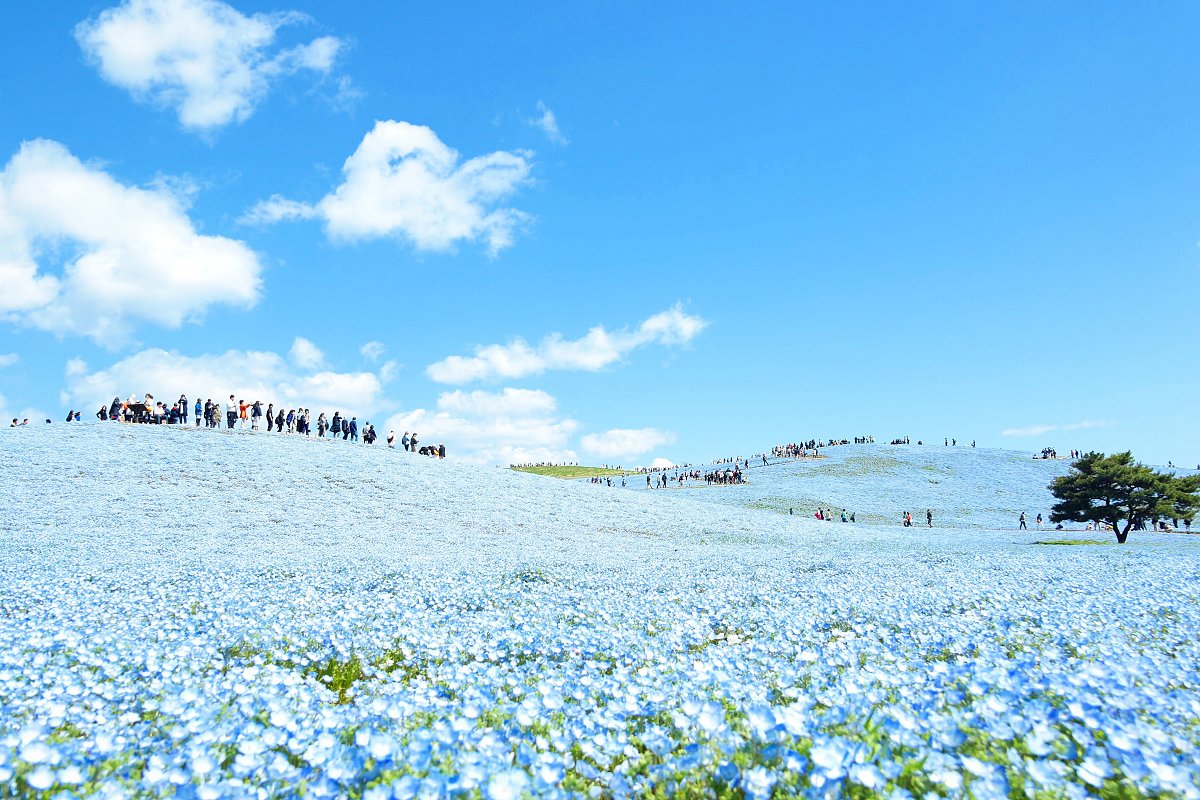 Most Beautiful Places In Kanto Region | Japan - TRIPROUD