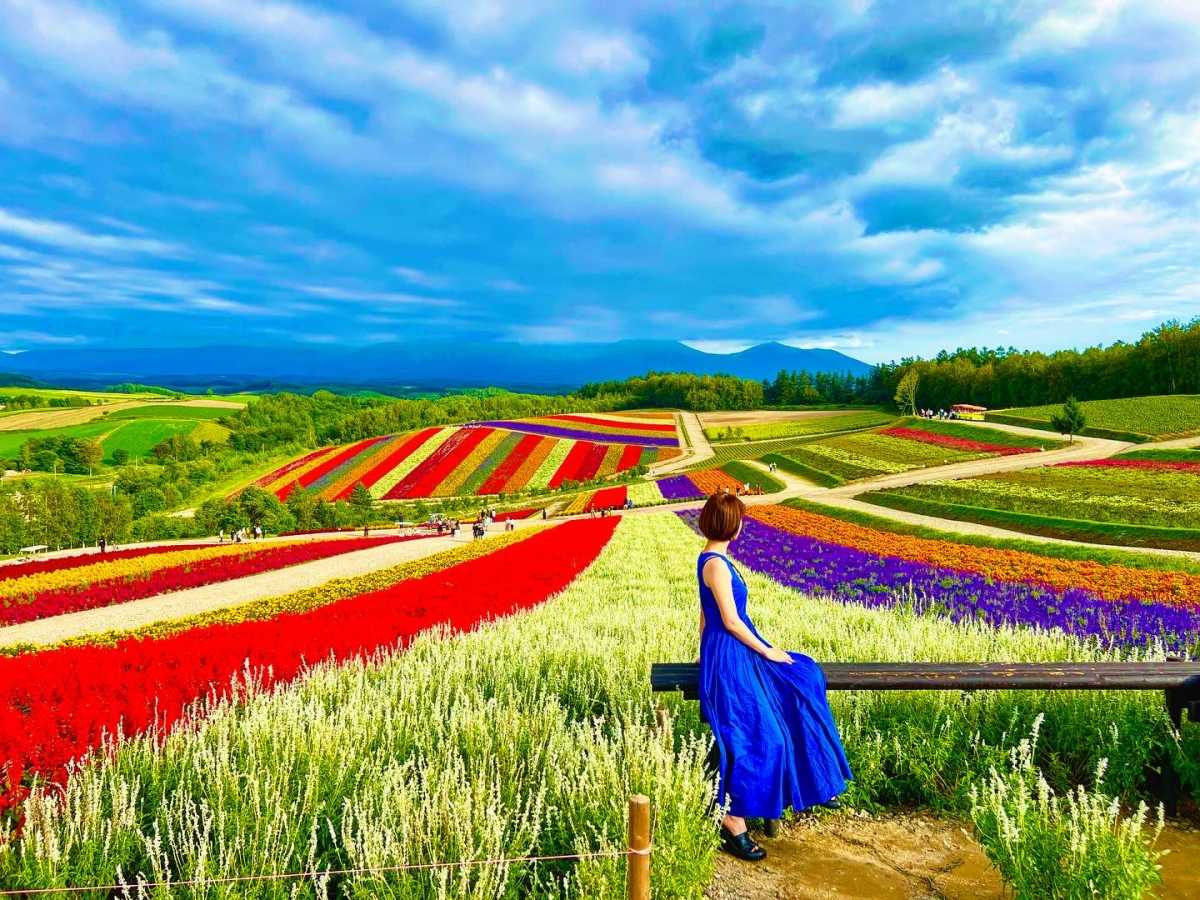 Panoramic Flower Gardens Shikisai no Oka:Flowers Carpet - TRIPROUD