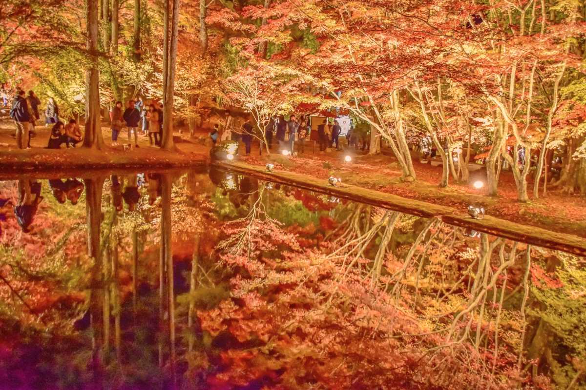 Sogi Park:Impressive Autumn Color Reflections Like A Mirror World ...