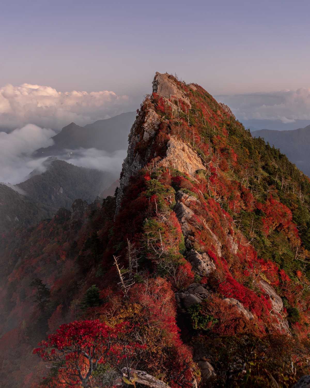 Mt. Ishizuchi:Tengu-dake Mountain Dressed In Various Lively Autumn ...