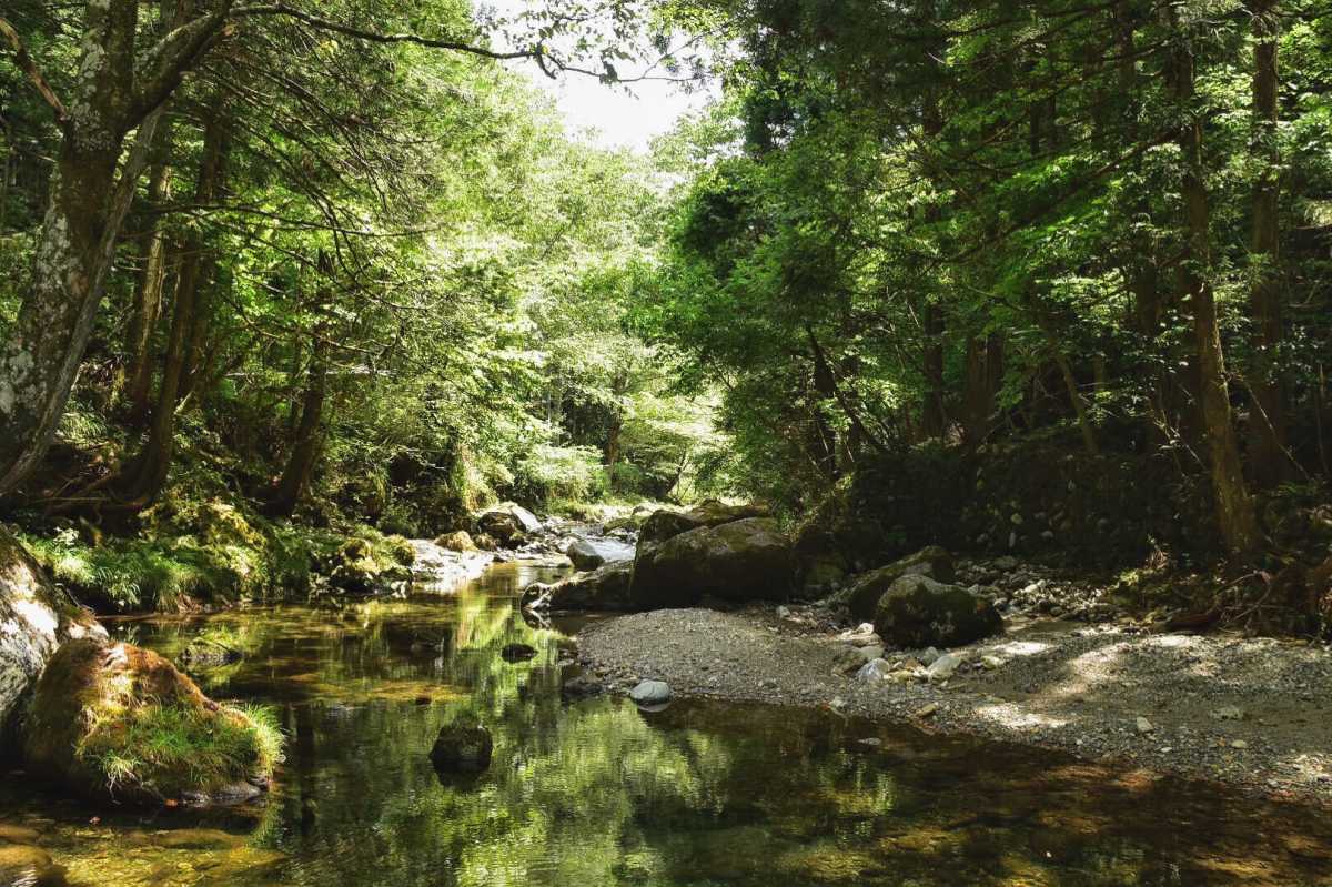 Embara River:Healing Power Of Embara River Known To Those In The Know ...